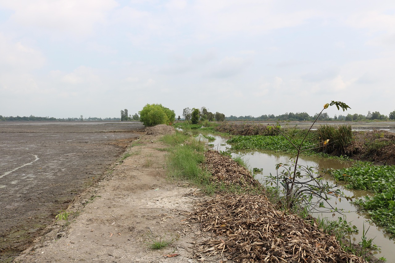 Scène Champêtre Dong Que Viêt Nam - Photo gratuite sur Pixabay - Pixabay