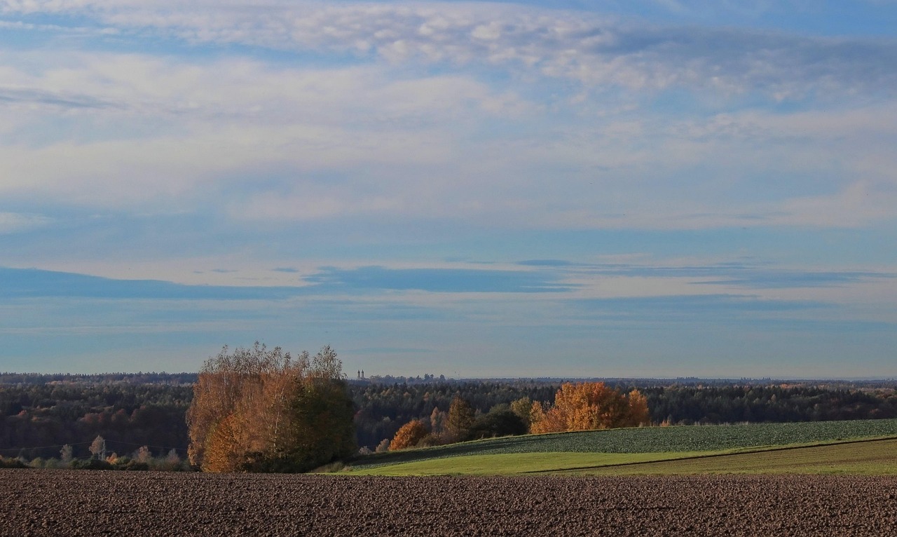 Autumn Landscape Fields Meadow - Free photo on Pixabay - Pixabay