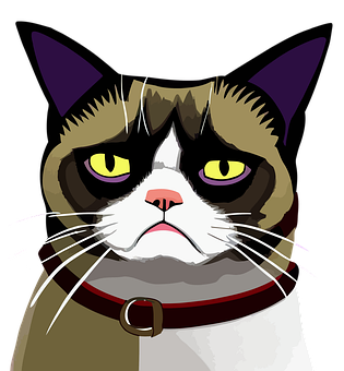50+ Free Cat Emote & Cat Illustrations - Pixabay