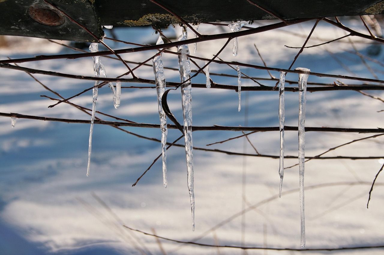 Icicles Winter Branches - Free photo on Pixabay