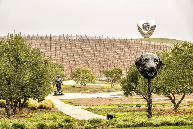 Donum Estate Sonoma - Free photo on Pixabay