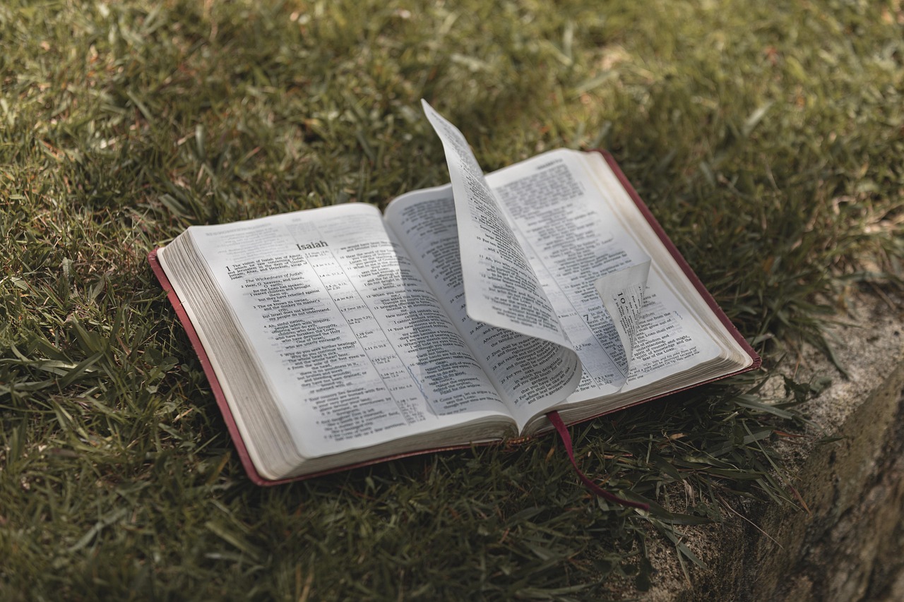 Bibel Biblestudy Gras - Kostenloses Foto auf Pixabay