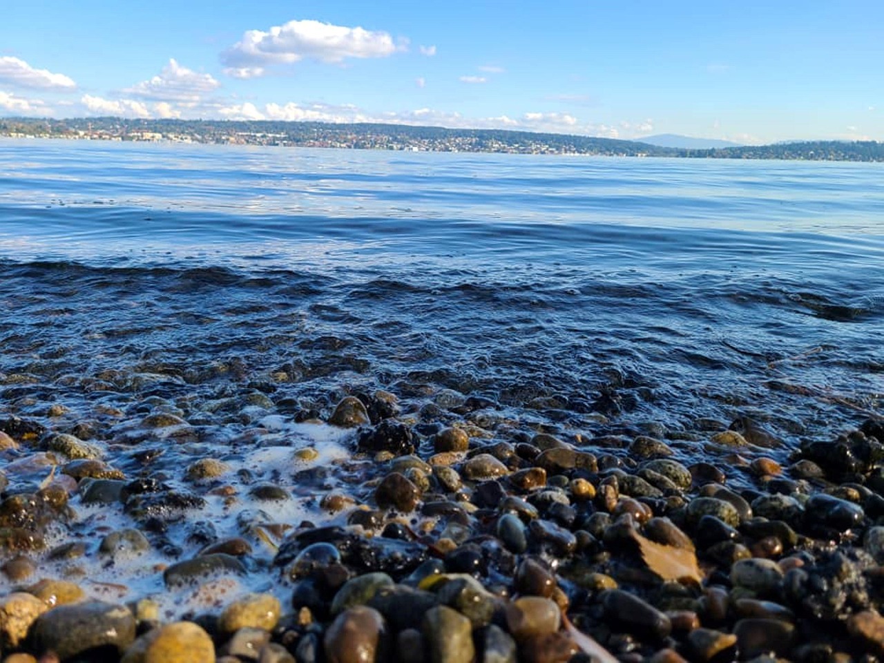 Lake Seattle Washington - Free photo on Pixabay - Pixabay