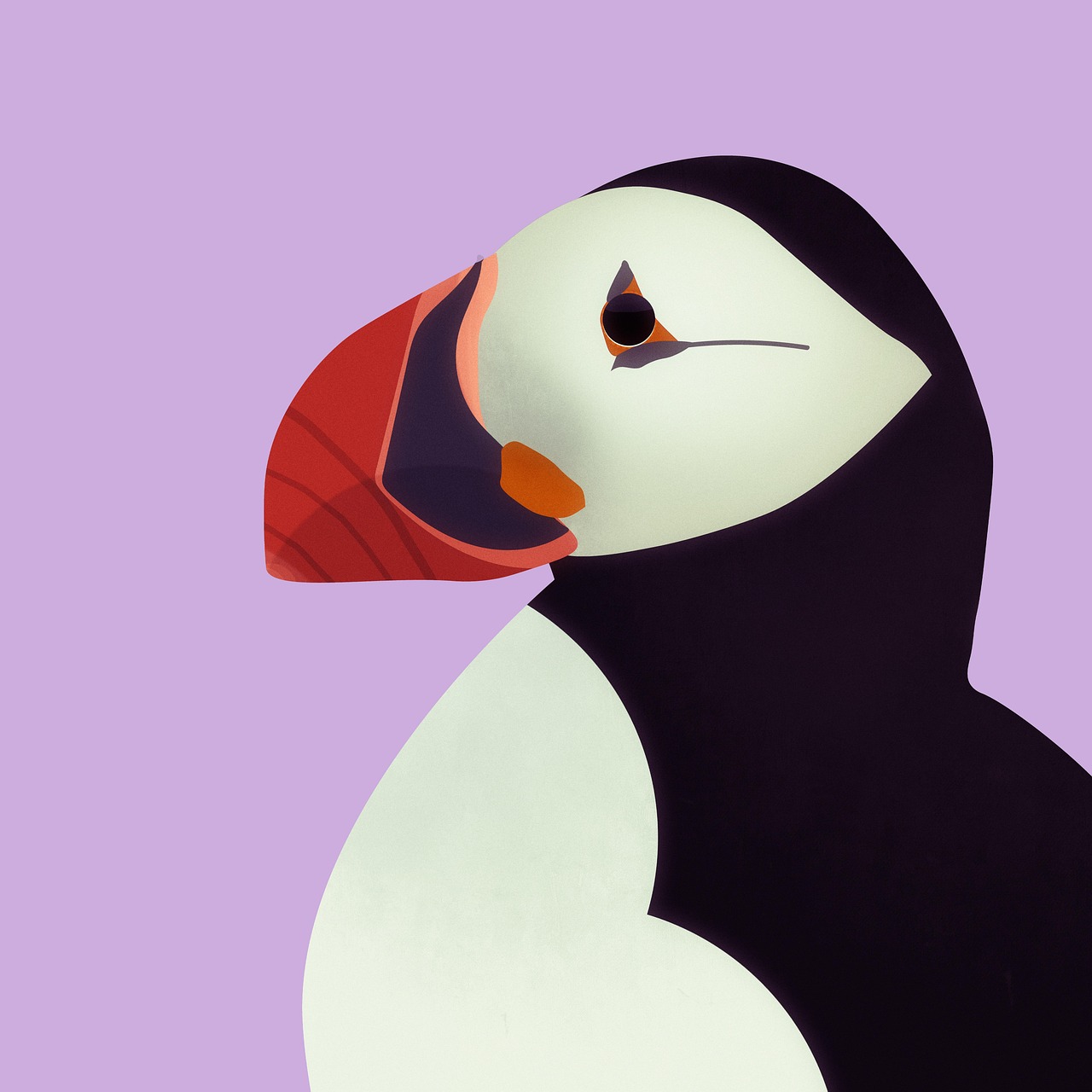 200+ Free Puffin & Nature Images - Pixabay