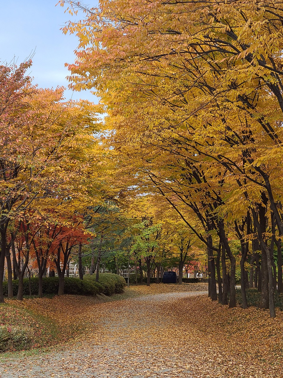 Republik Korea Hanam Stadt Masse - Kostenloses Foto auf Pixabay - Pixabay