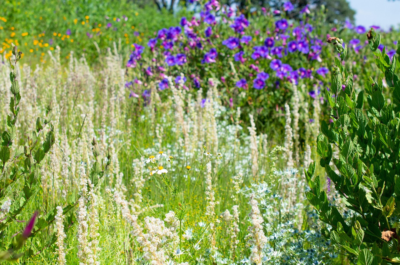 La Nature Paysage Vert Le - Photo gratuite sur Pixabay - Pixabay