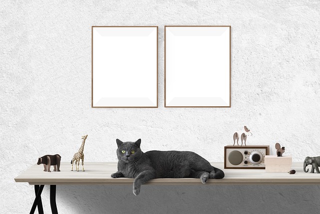 Cat Frames Wall - Free photo on Pixabay - Pixabay