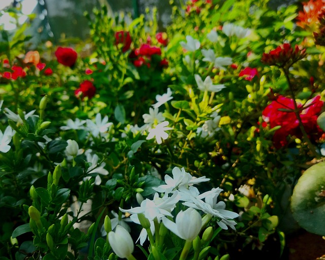 Estetis Alam Bunga-Bunga - Foto gratis di Pixabay - Pixabay