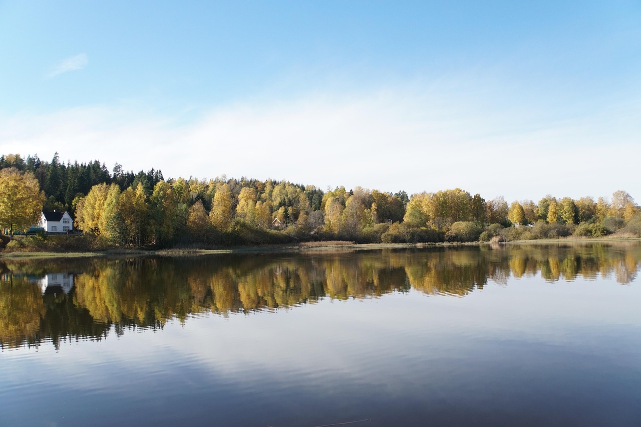 Lagoon Terrain Forest - Free photo on Pixabay