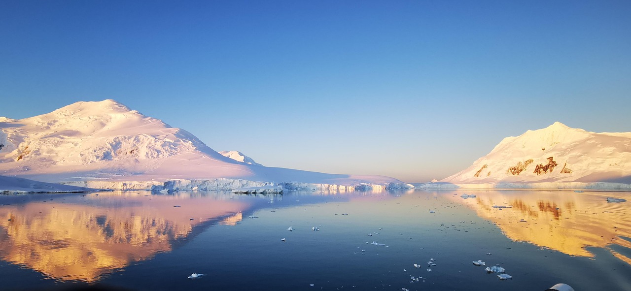 300,000+ Free Antarctic Animals & Antarctic Images - Pixabay