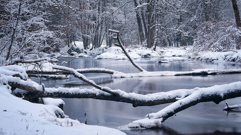 Nature Landscape Winter - Free photo on Pixabay