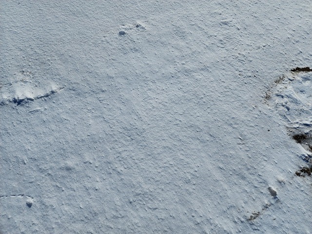 Neige Texture Hiver - Photo gratuite sur Pixabay - Pixabay