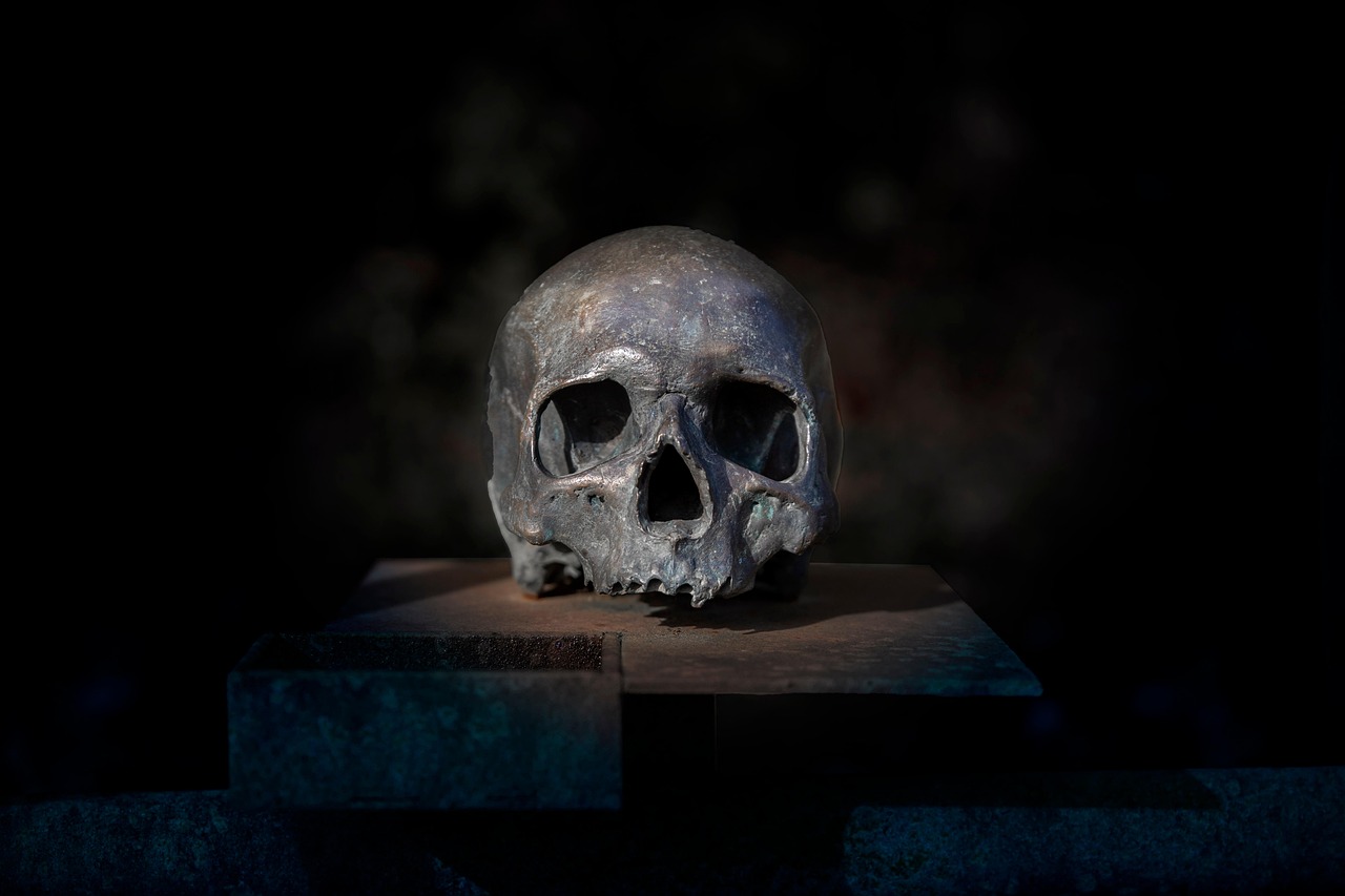 7,000+ Skull Pictures & Images [HD] - Pixabay