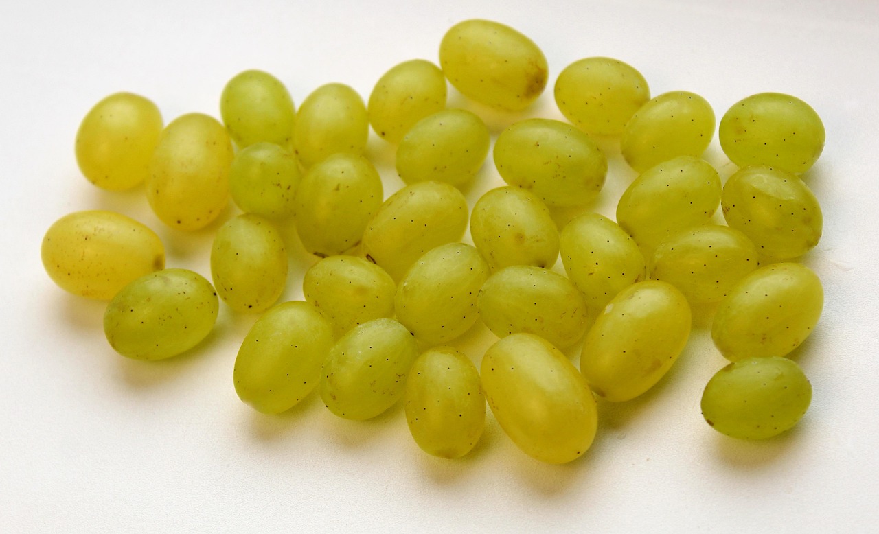 Uva Fruta Orgánico - Foto gratis en Pixabay - Pixabay