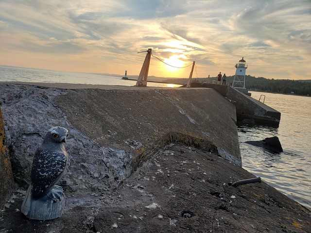 Grand Marais Minnesota Lake - Free photo on Pixabay - Pixabay