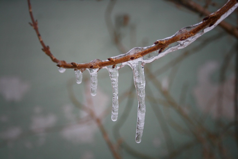 Branch Icy Icicle - Free photo on Pixabay