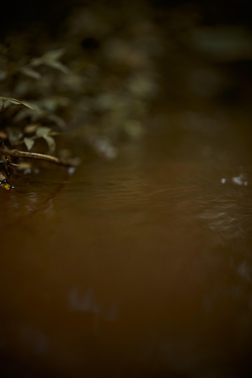 Water River Nature - Free photo on Pixabay - Pixabay
