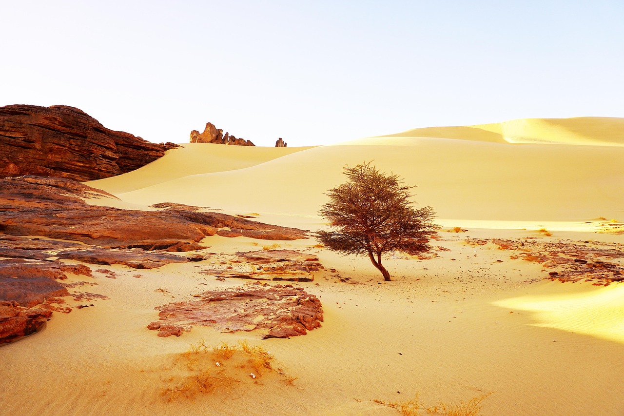 Desert Sahara Registan - Free photo on Pixabay - Pixabay