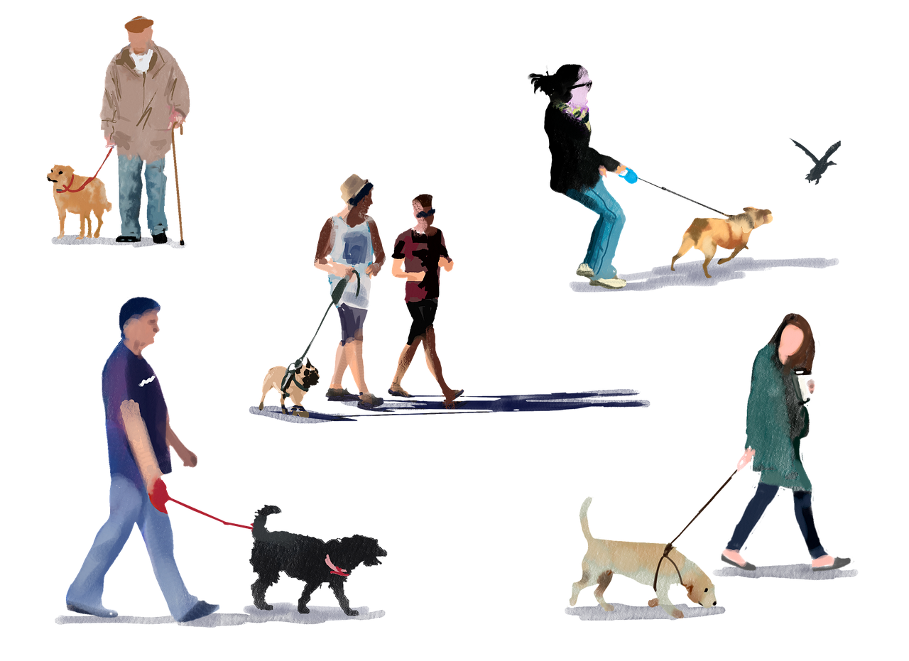 Persoon Die Met Hond Wandelt Clipart Jong Mensen Wandelen Met Hun