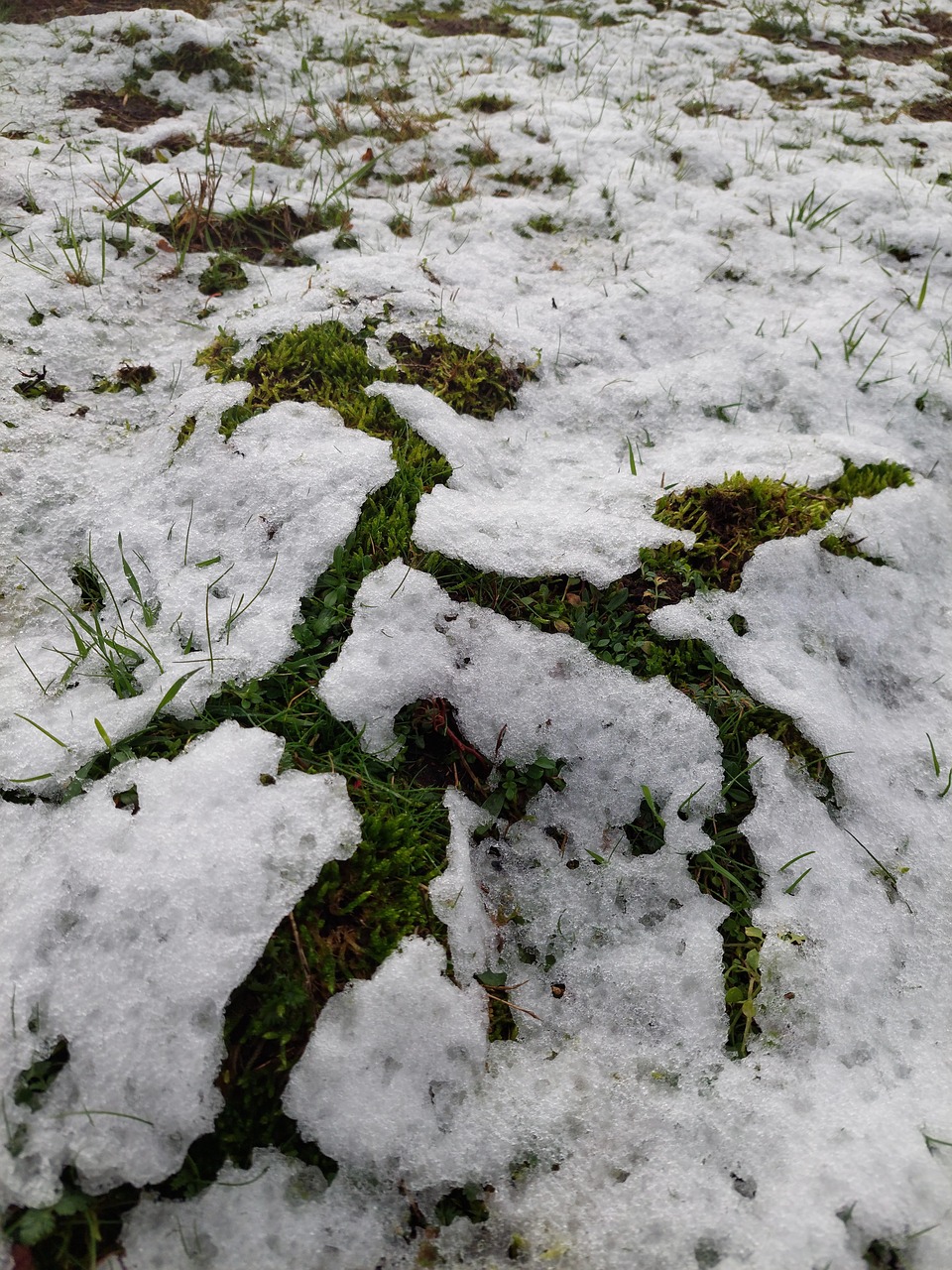 Snow Grass Cracked Blade Of - Free photo on Pixabay - Pixabay