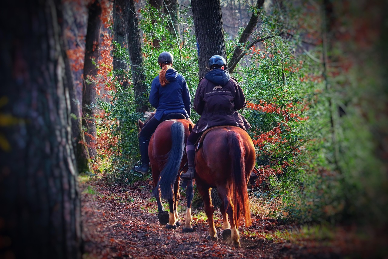 30,000+ Free Horse Riding & Horse Images - Pixabay