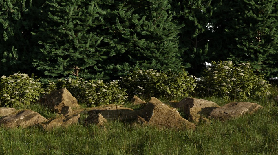 Rocks Garden Grass - Free image on Pixabay