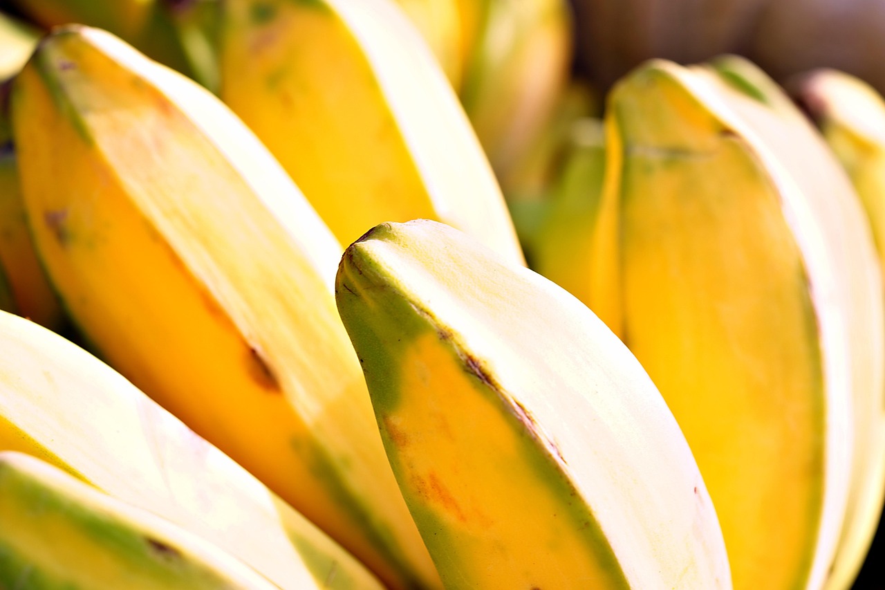 Banana Fruta Fresco - Foto gratuita no Pixabay - Pixabay