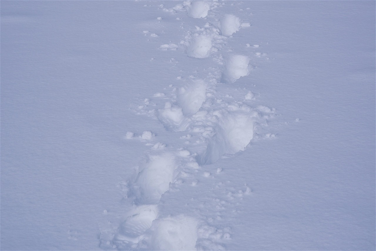 Winter Snow Footprints - Free photo on Pixabay
