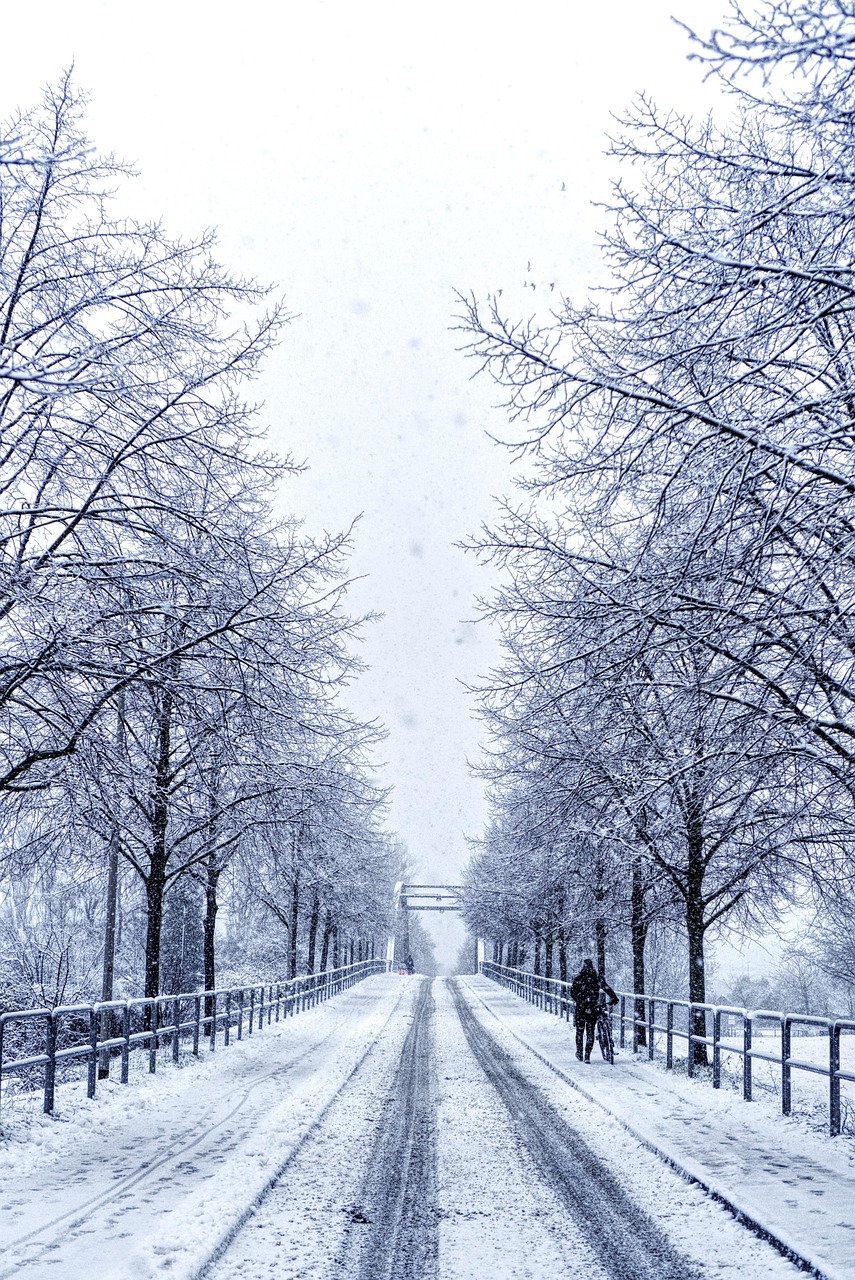 Winter Snow Hanover - Free photo on Pixabay - Pixabay