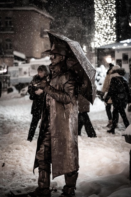 Winter Man Snowfall - Free photo on Pixabay