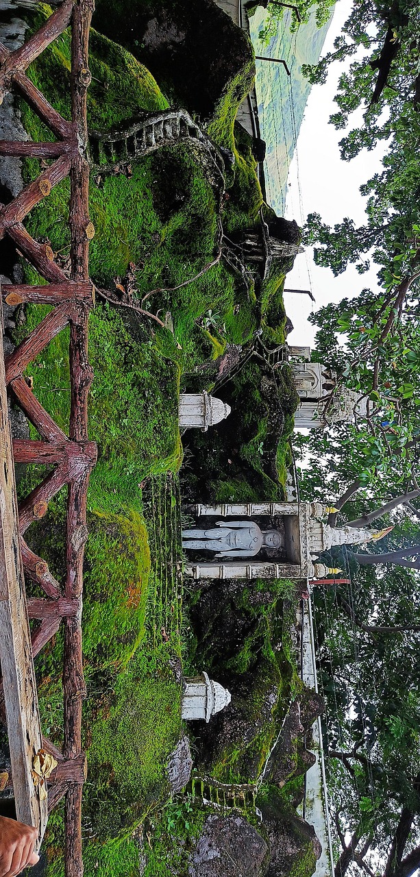 Bawangaja Barwani Índia - Foto gratuita no Pixabay - Pixabay