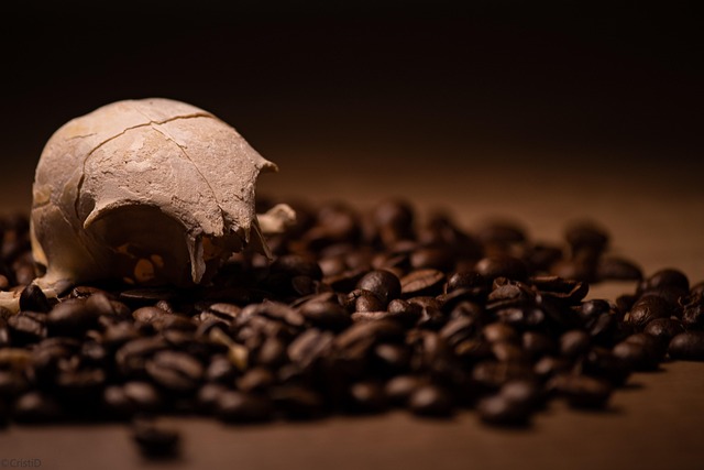 Coffee Skull Roasted - Free photo on Pixabay