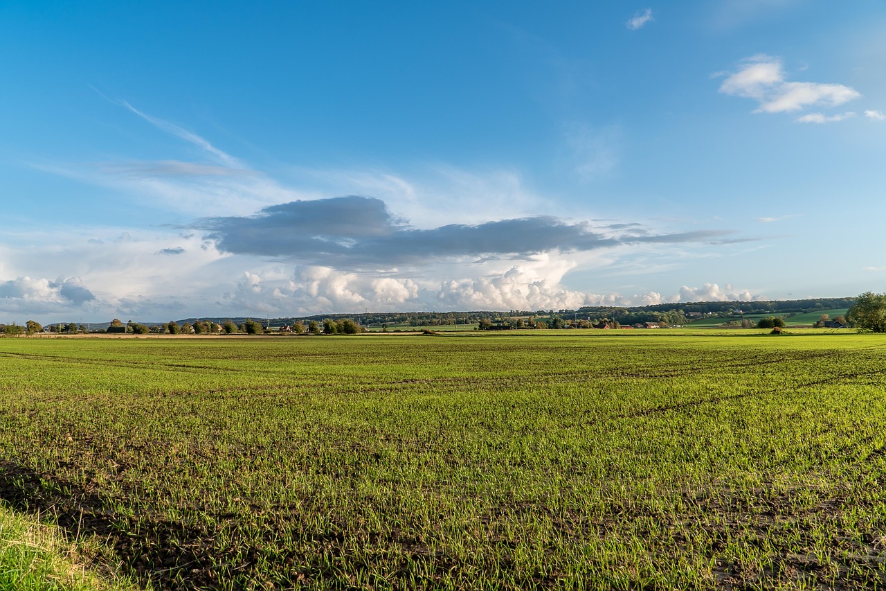 Field Nature Blue Sky Dramtic - Free photo on Pixabay