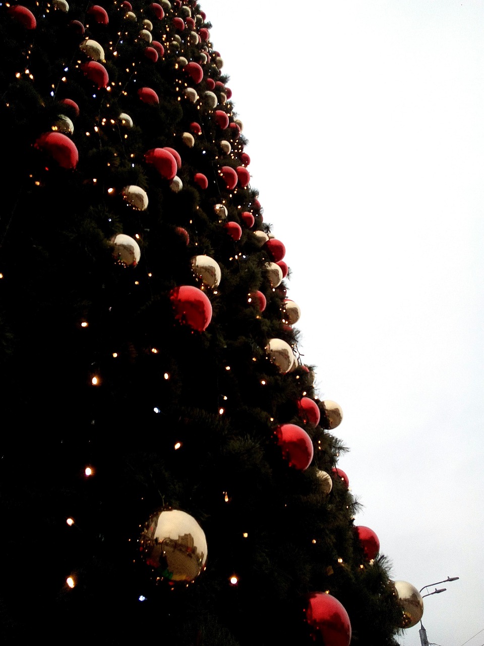 Ano Novo Natal Árvore De - Foto gratuita no Pixabay - Pixabay