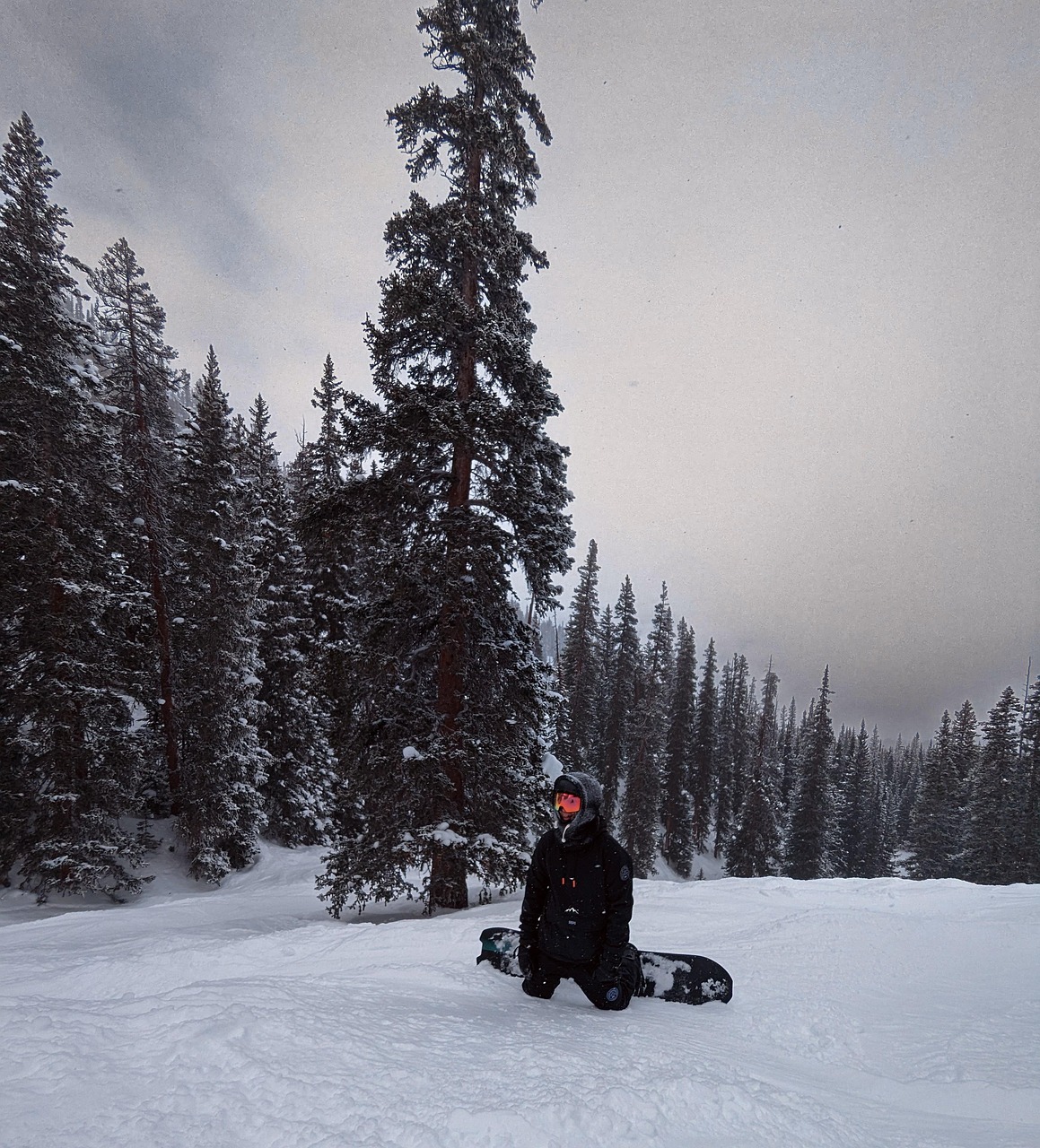 Man Snowboarder Snow - Free photo on Pixabay