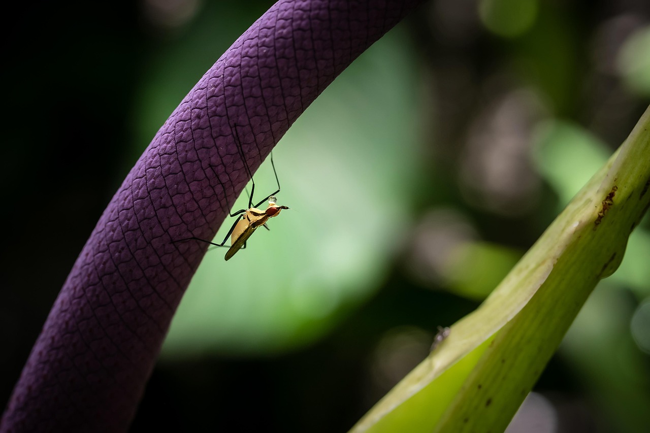 200+ Free Perfectionism & Perfection Images - Pixabay