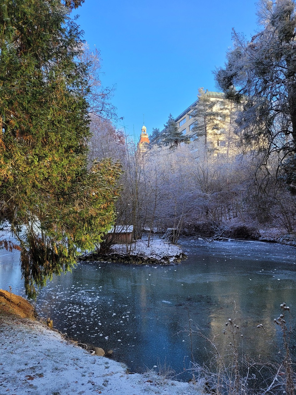 Ice Cream Winter Snow - Free photo on Pixabay - Pixabay