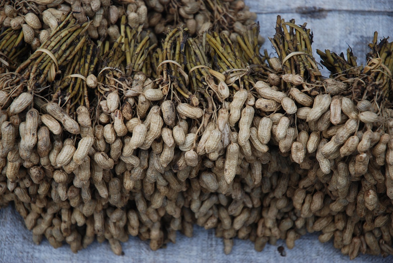 Peanuts Market Asia - Free photo on Pixabay - Pixabay