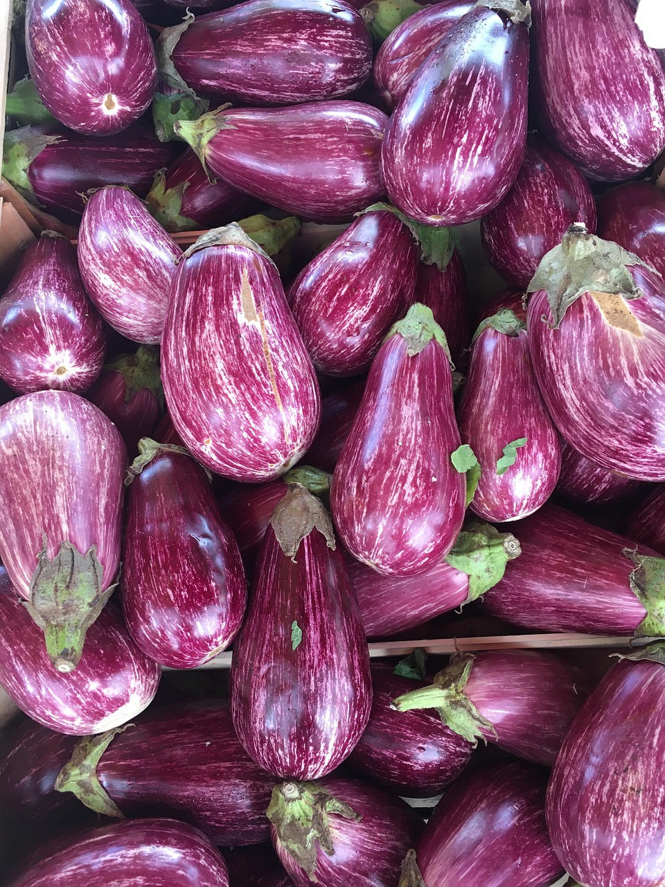 Vegetables Aubergine - Free photo on Pixabay - Pixabay