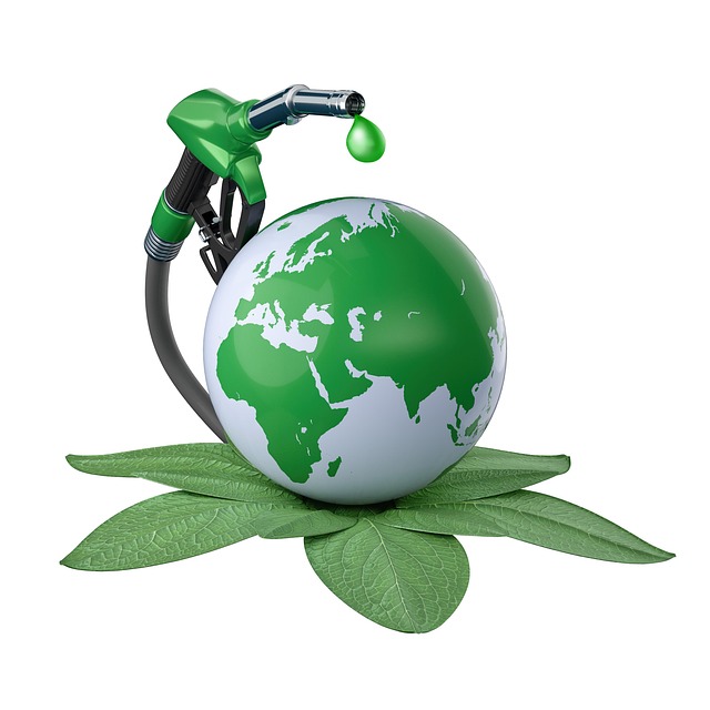 30+ Free Biomass & Biofuel Images - Pixabay