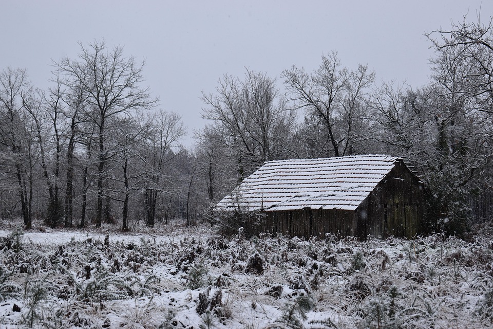 Winter Snow Cabin - Free photo on Pixabay - Pixabay