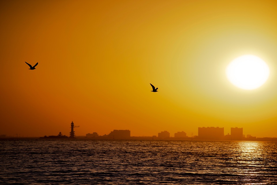 Des Oiseaux Le Coucher Du Soleil - Photo gratuite sur Pixabay - Pixabay