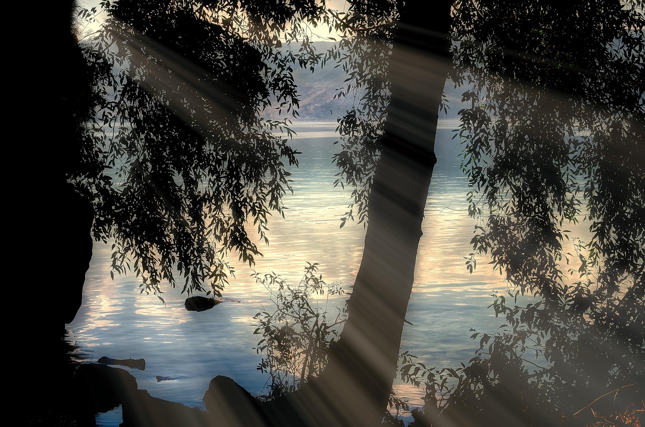 Mais De Ohrid Luz Sombra - Foto gratuita no Pixabay - Pixabay