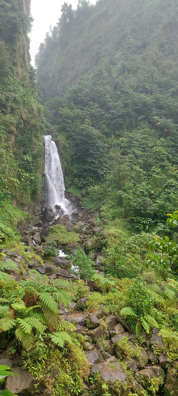 Dominica Water Waterfall - Free photo on Pixabay - Pixabay