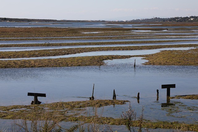 Praia Portugal Marsh - Free photo on Pixabay