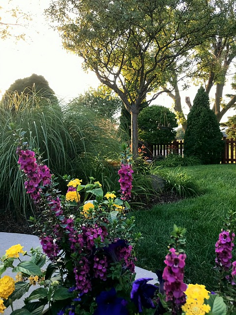 Flores Jardim Panorama - Foto gratuita no Pixabay - Pixabay