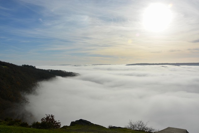 Morning Mist Sun Sky - Free photo on Pixabay