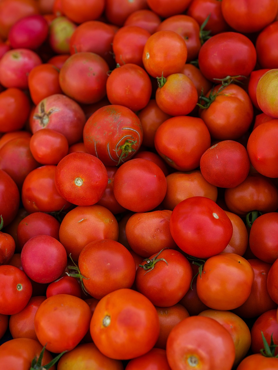 Tomatoes Vegetables Food - Free photo on Pixabay