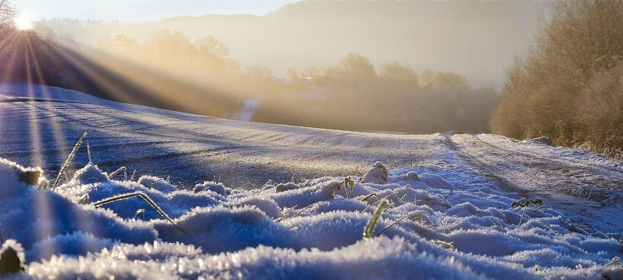 Rayos De Sol Y Nieve Halo (fenómeno Meteorológico) Wikipedia, La