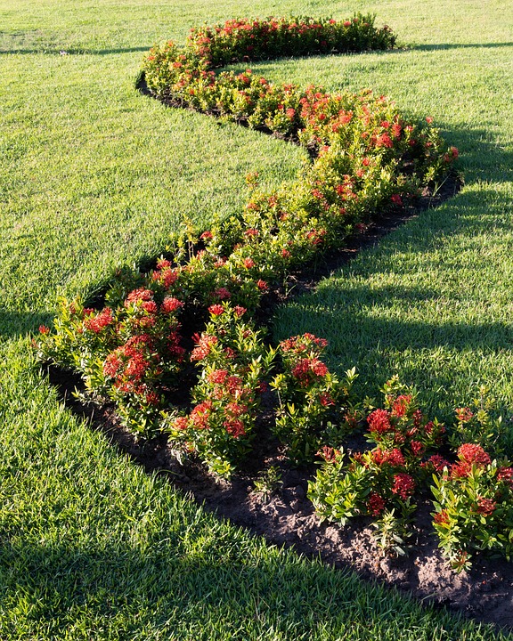 Blumen Pfad Garten - Kostenloses Foto auf Pixabay